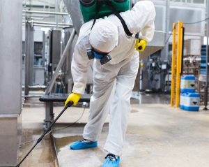 Pest Control Perth - Pest Control Perth