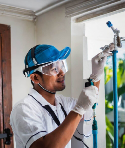 Commercial Pest Control - Pest Control Perth